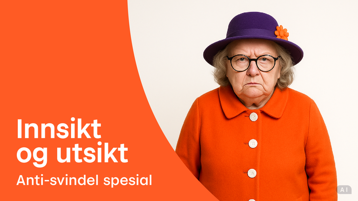 Innsikt og utsikt: Anti-svindel spesial